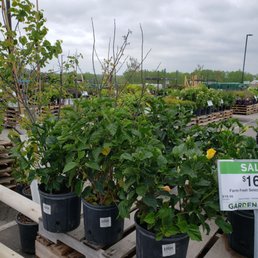 Fleet Farm Reviews | Read Customer Service Reviews of fleetfarm.com