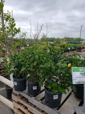 FLEET FARM - Updated December 2025 - 11 Photos & 15 Reviews - 3815 W ...