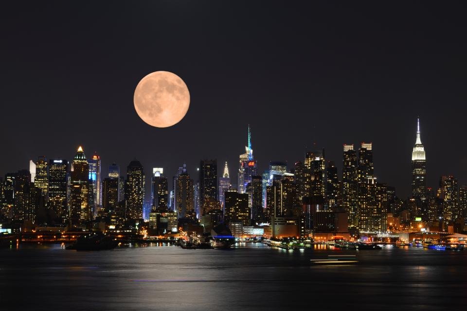 LUNA SECURITY SERVICES - Request a Quote - Bronx, New York - Security ...