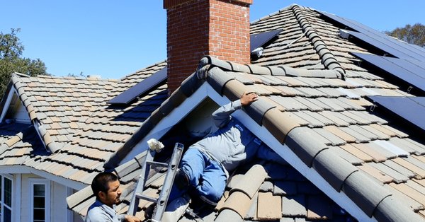 PRO PACIFIC PEST CONTROL - Updated December 2025 - 52 Photos & 293 ...