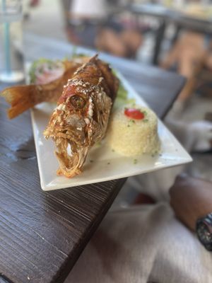 TAPELIA - Updated May 2025 - 793 Photos & 621 Reviews - 551 Lincoln Rd ...