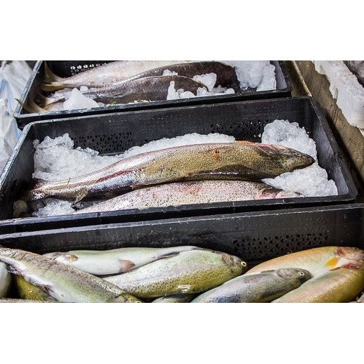 JONES’ FISH HOUSE - Updated July 2025 - 12147 Everglades St, Canal ...