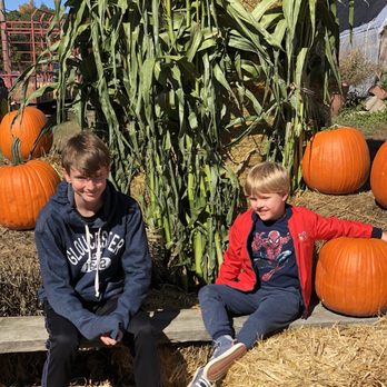 MARINI FARM - Updated July 2025 - 67 Photos & 47 Reviews - 259 ...