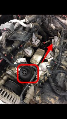 BLUEBONNET JEEP - Updated June 2026 - 26 Photos & 102 Reviews - 283 Ih ...