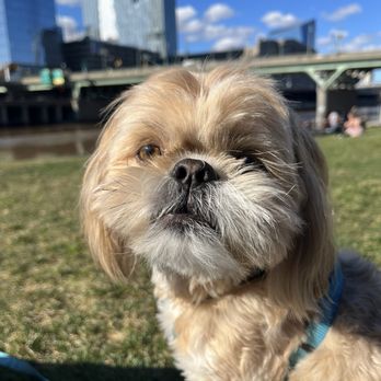 RYAN VETERINARY HOSPITAL - Updated December 2025 - 17 Photos & 198 ...