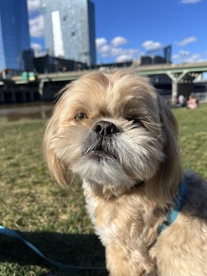 RYAN VETERINARY HOSPITAL - Updated December 2025 - 17 Photos & 198 ...