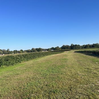 LEE TURKEY FARM - Updated December 2025 - 84 Photos & 82 Reviews - 201 ...