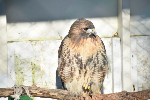 TENAFLY NATURE CENTER - Updated December 2024 - 116 Photos & 26 Reviews ...