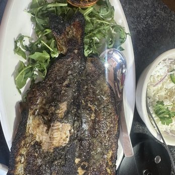 PUMA DETROIT - Updated August 2025 - 110 Photos & 35 Reviews - 4725 ...