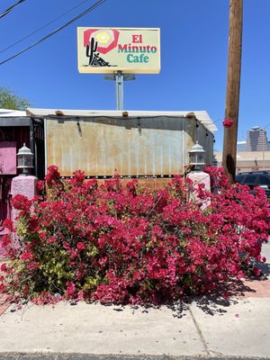 EL MINUTO CAFE - Updated October 2024 - 161 Photos & 289 Reviews - 354 ...