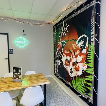 NOVACANE - Updated January 2026 - 92 Photos & 24 Reviews - 1000 S ...