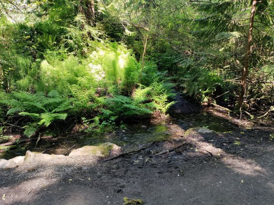 RAVENNA PARK - Updated December 2025 - 130 Photos & 47 Reviews - 5520 ...