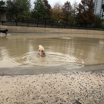 JOHNNY STEELE DOG PARK - Updated October 2025 - 178 Photos & 134 ...