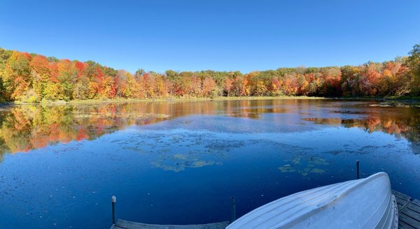 WOOD RILL STATE NATURAL AREA - Updated November 2024 - 20 Photos - 917 ...