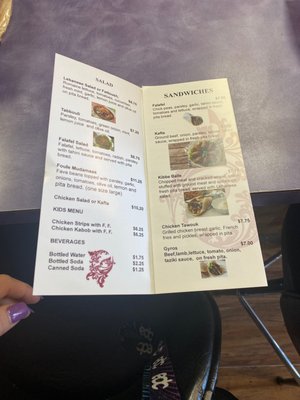 FALAFEL QUEEN - Updated July 2025 - 42 Photos & 117 Reviews - 1080 S ...