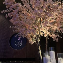 THREE THIRTY THREE - Updated March 2025 - 467 Photos & 94 Reviews - 430 ...