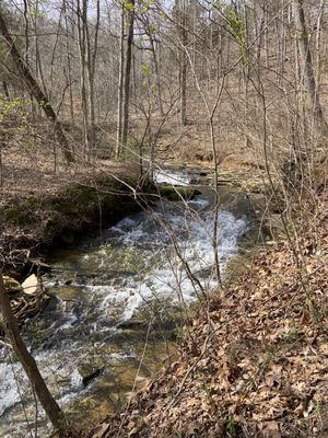 SAUNDERS SPRINGS NATURE PRESERVE - Updated August 2024 - 136 Photos ...