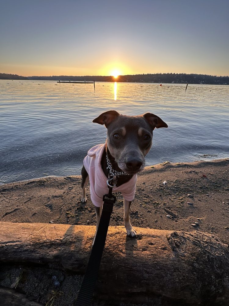 PRITCHARD ISLAND BEACH - Updated October 2025 - 28 Photos - 8400 55th ...