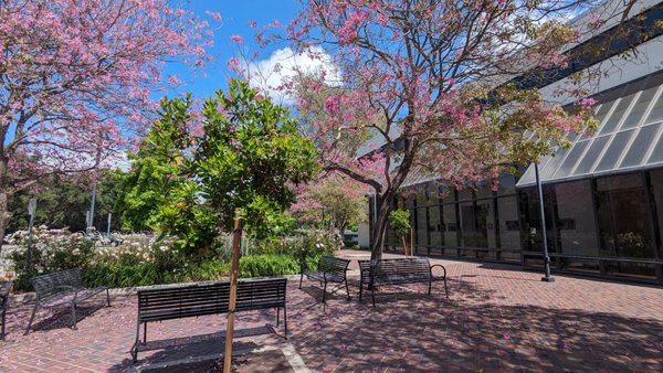 THOUSAND OAKS GRANT R. BRIMHALL LIBRARY - Updated December 2025 - 87 ...