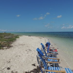 Boca Chica Beach Area - Updated COVID-19 Hours & Services - 166 Photos ...
