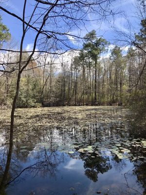 DESOTO NATIONAL FOREST - TUXACHANIE TRAIL POW CAMP - 41 Photos & 12 ...