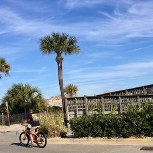 NATIVE AMERICAN SHELL RING - Updated April 2025 - 13 Photos - Fish ...