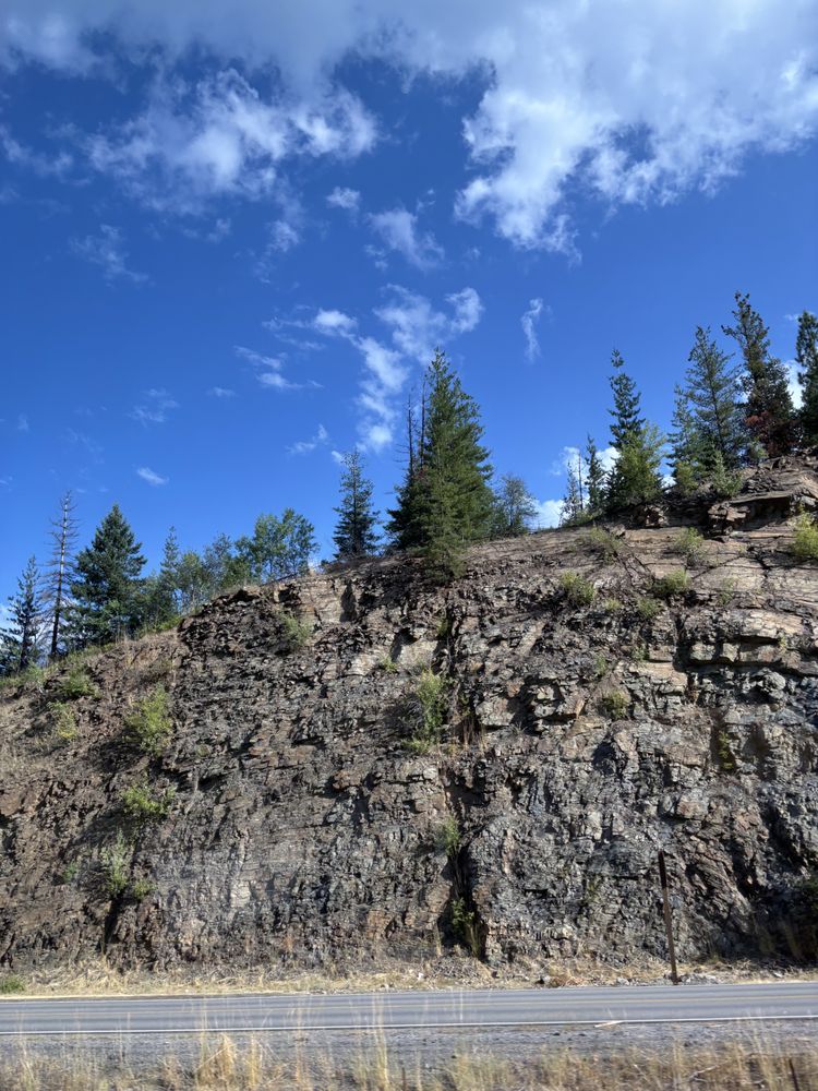 GREYHOUND BUS - Updated October 2025 - 27 Photos & 146 Reviews - 503 S ...