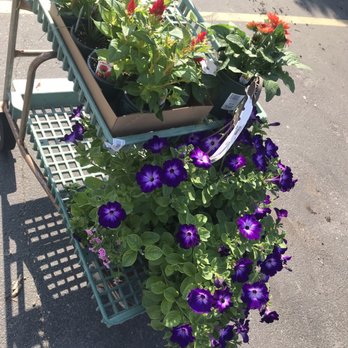 MICKMAN BROTHERS - Updated July 2025 - 59 Photos & 24 Reviews - 14630 ...