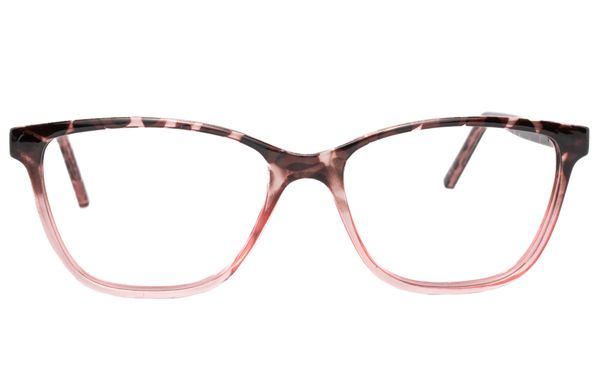 SUCCESS VISION EXPRESS - Updated October 2025 - 2021 Maplewood Commons ...