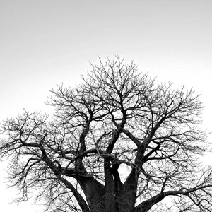 CURT NEWBURY STUDIO - Updated January 2025 - 9111 La Prada Dr, Dallas ...