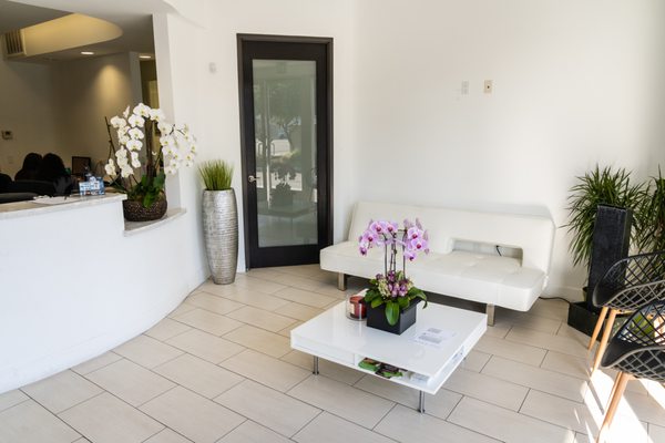 DESIGN DENTAL SPA - Updated January 2026 - 79 Photos & 333 Reviews ...