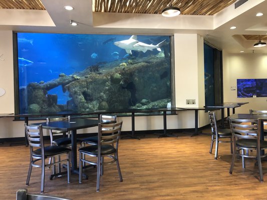 SHARK REEF CAFE - Updated October 2024 - 101 Photos & 62 Reviews - 2601 ...
