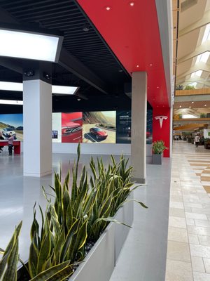 TESLA - Updated September 2025 - 89 Photos & 69 Reviews - 233 Bellevue ...