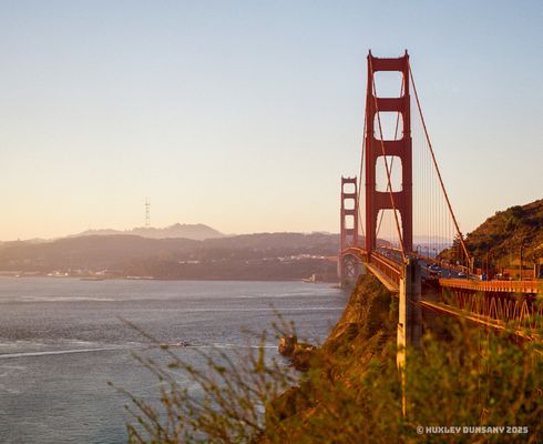 SHUTTERBUG CAMERA SHOP - Updated January 2026 - 41 Photos & 110 Reviews ...