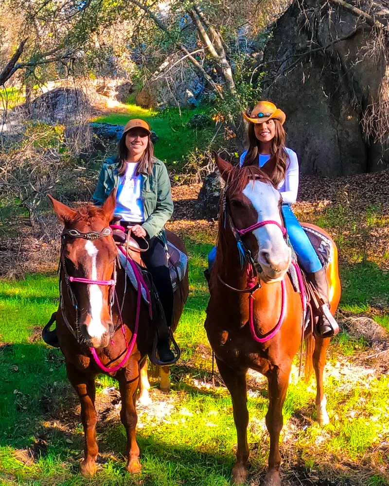 VIN HESTEN TRAIL RIDES - Updated December 2025 - 111 Photos & 216 ...