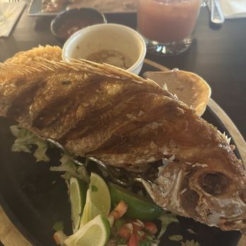 AZTECA D’ORO WESLEY CHAPEL - Updated May 2025 - 253 Photos & 144 ...