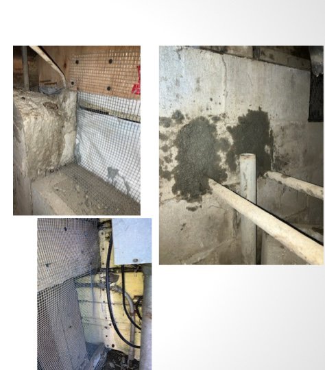 RODENT BUSTERS - Updated June 2025 - San Francisco, California - Pest ...