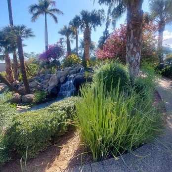 TREELAND NURSERIES - Updated December 2025 - 65 Photos & 80 Reviews ...