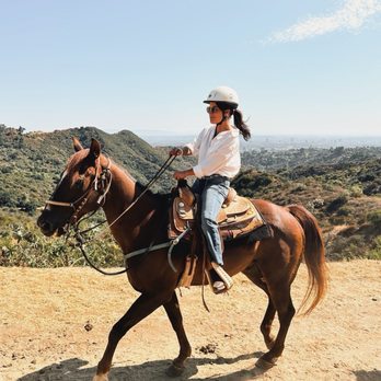 SUNSET RANCH HOLLYWOOD STABLES - Updated August 2024 - 1129 Photos ...
