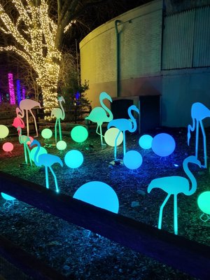 STONE ZOO - Updated December 2024 - 211 Photos & 193 Reviews - 149 Pond ...