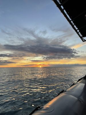 LIQUID HAWAII - Updated June 2024 - 86 Photos & 110 Reviews - Puako ...