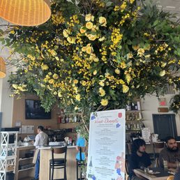 SONOMA BISTRO - Updated December 2025 - 680 Photos & 449 Reviews - 59 ...