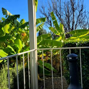 CEDAR MOUNTAIN POST ACUTE - Updated June 2025 - 32 Photos & 30 Reviews ...