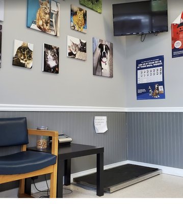 Animal Hospital of Maple Valley - Updated June 2026 - 63 Photos & 69 ...