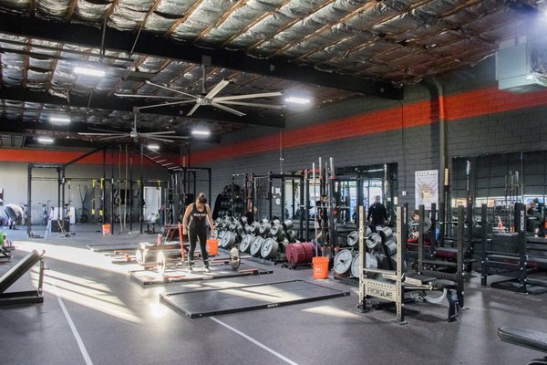 WARCAT STRENGTH - Updated October 2025 - 116 Photos & 36 Reviews - 2532 ...