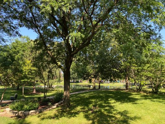 Hines, IL Map & Directions - MapQuest