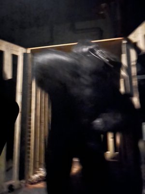 EARTHQUAKE THE RIDE - Updated October 2025 - 25 Photos & 85 Reviews ...