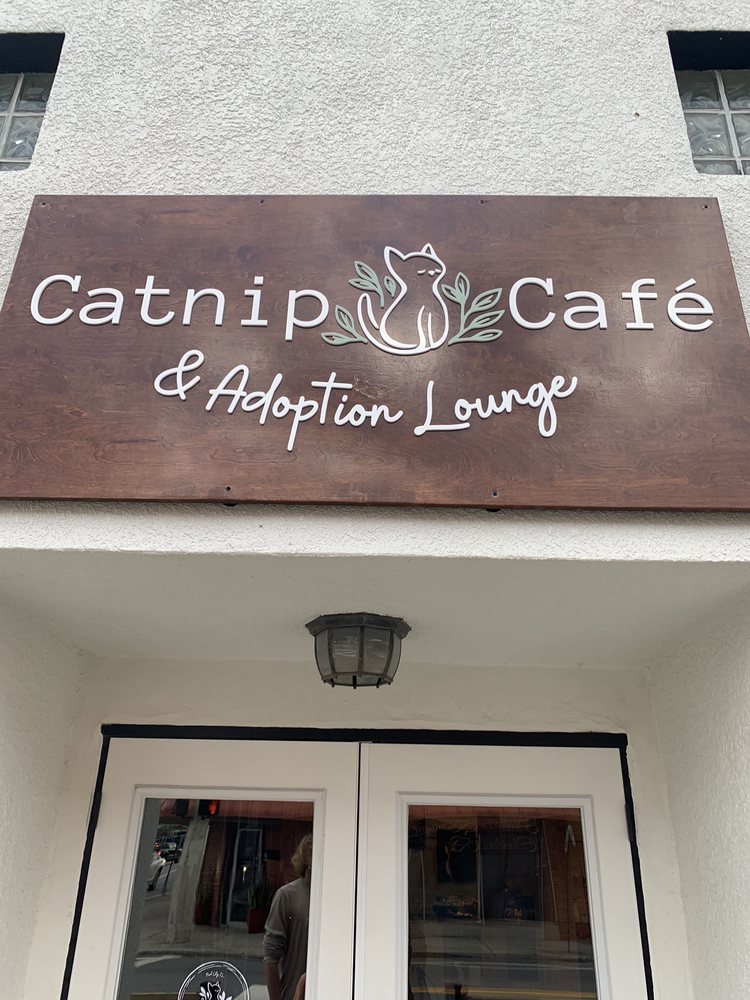 CATNIP CAFE & ADOPTION LOUNGE - Updated July 2024 - 202 S Collins St ...