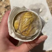 99 RANCH MARKET - 259 Photos & 71 Reviews - 9292 Warren Pkwy, Frisco ...