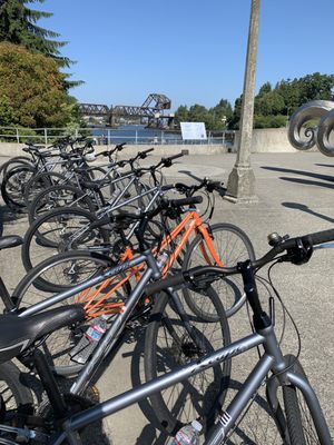 SEATTLE BICYCLE TOURS - Updated October 2025 - 12 Photos - Seattle ...